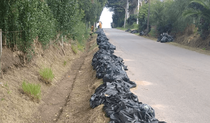 Calles más limpias | Municipio D